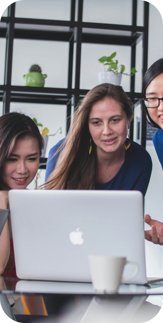 Mentoria para RH's - Lamparima